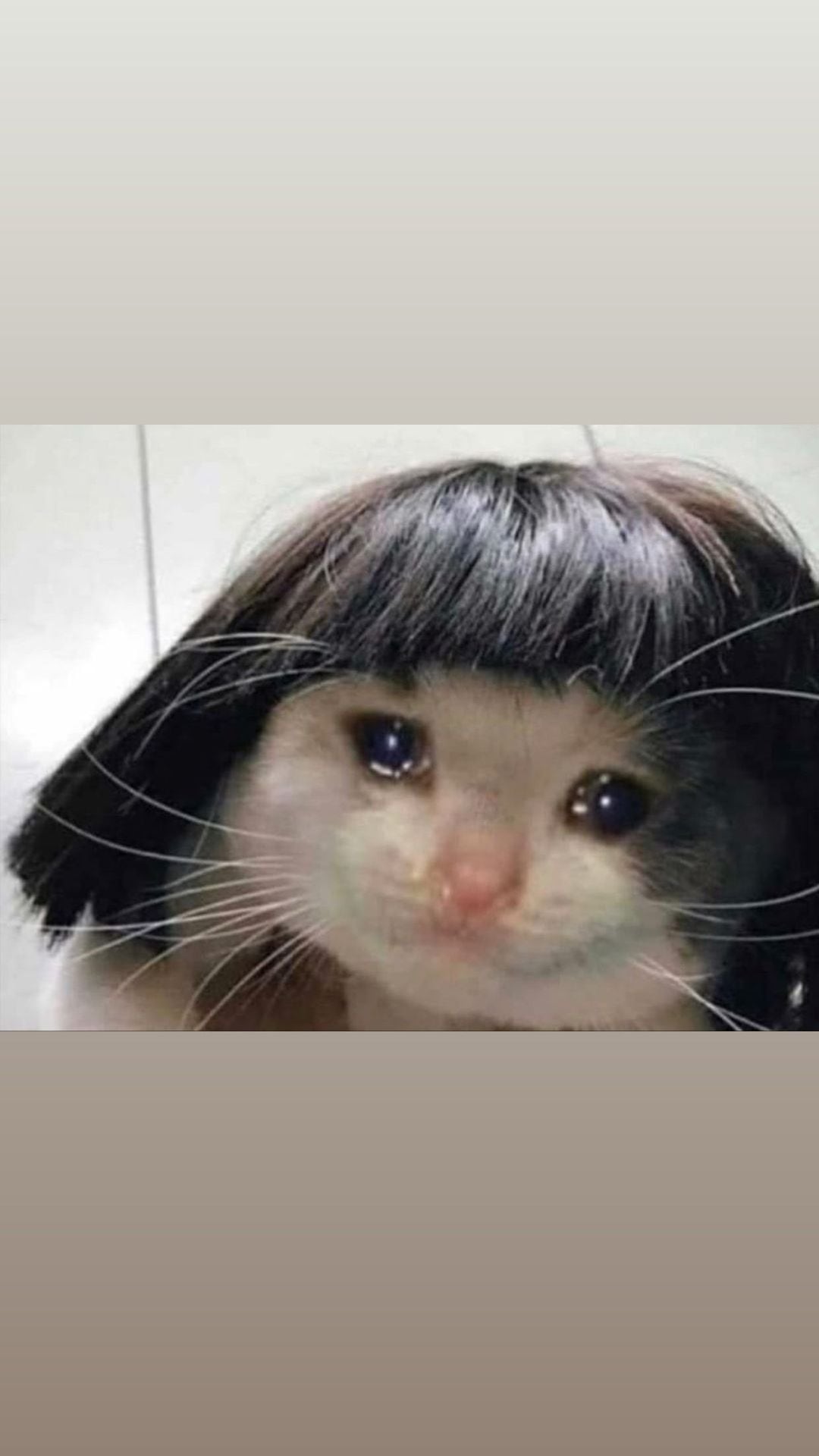 Memes De Flequillo Corto