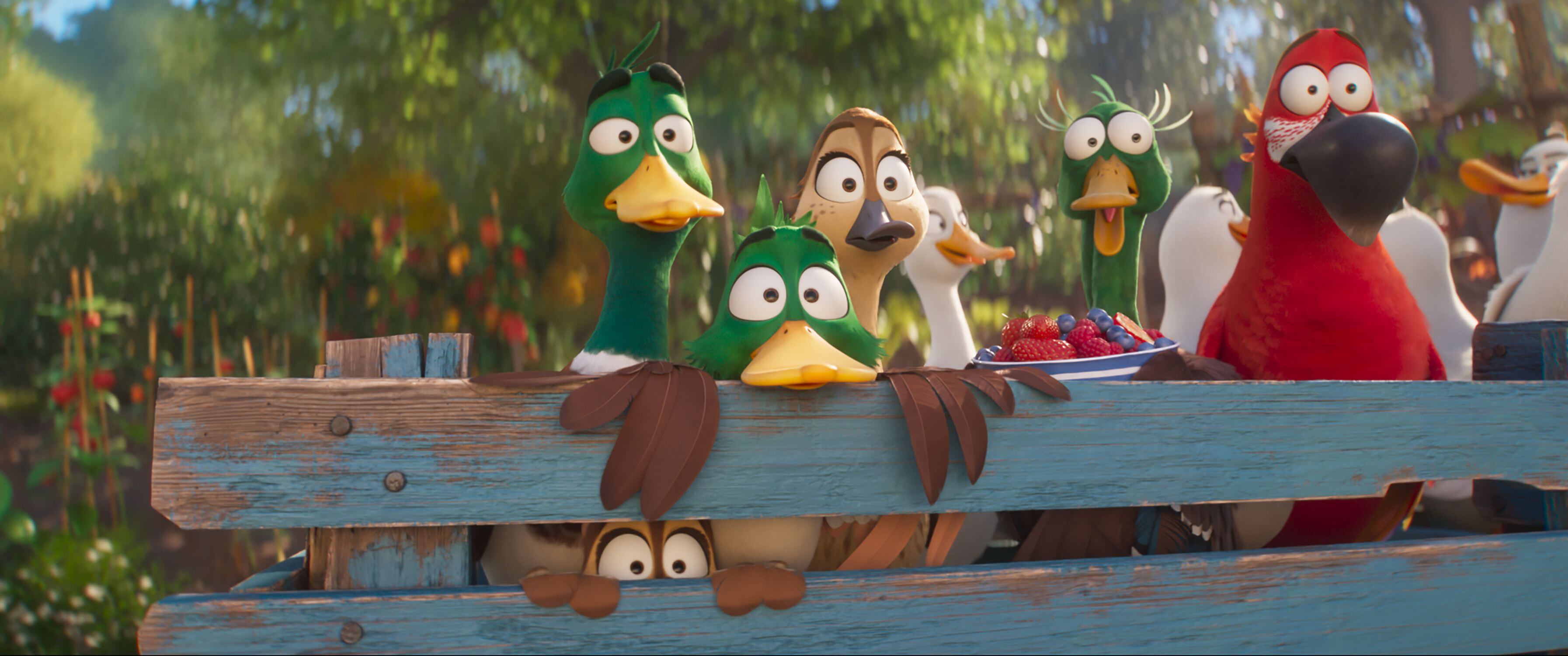 Nombres De Personajes De Dibujos Animados De Patos